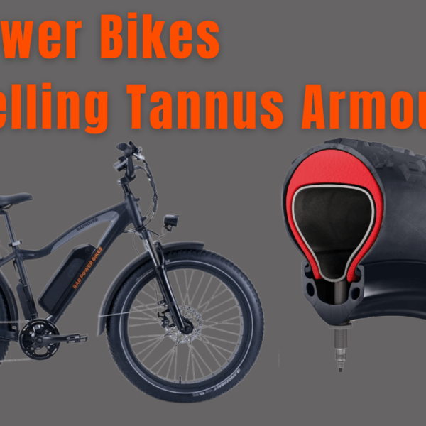 Prices Increase on Most Rad Power Bikes Models - Ebike Escape