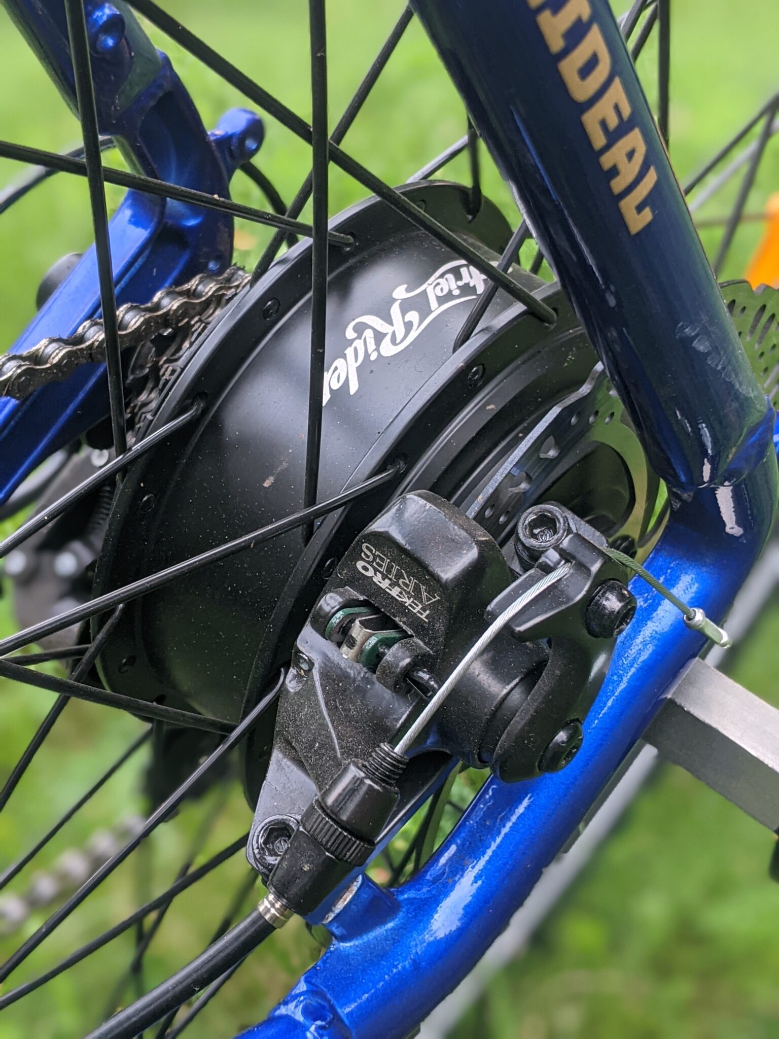 Ariel Rider Rideal Review - Surprisingly Powerful Yet Affordable ...