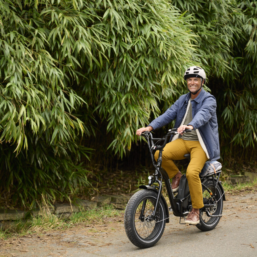 Ariel Rider D-Class Review - A Dual Motor Ebike that Handles it All ...