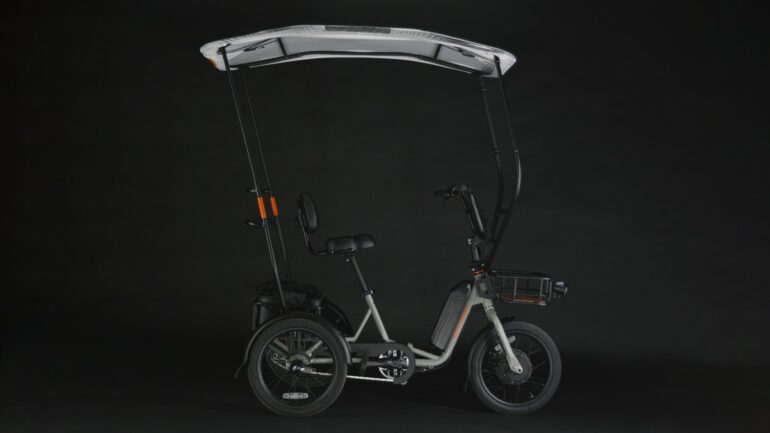 Rad Power Bikes RadTrike Review: Is This The Best Electric Trike ...