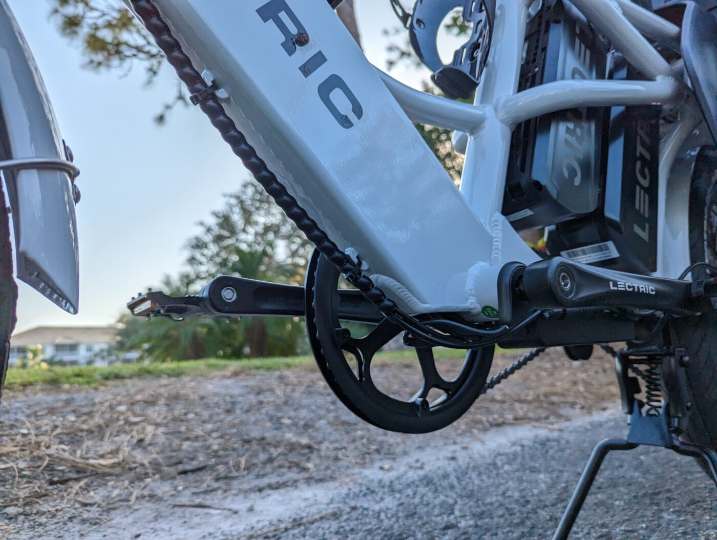 Lectric XPedition Review: The Cheapest Cargo Ebike to Hit the Market ...