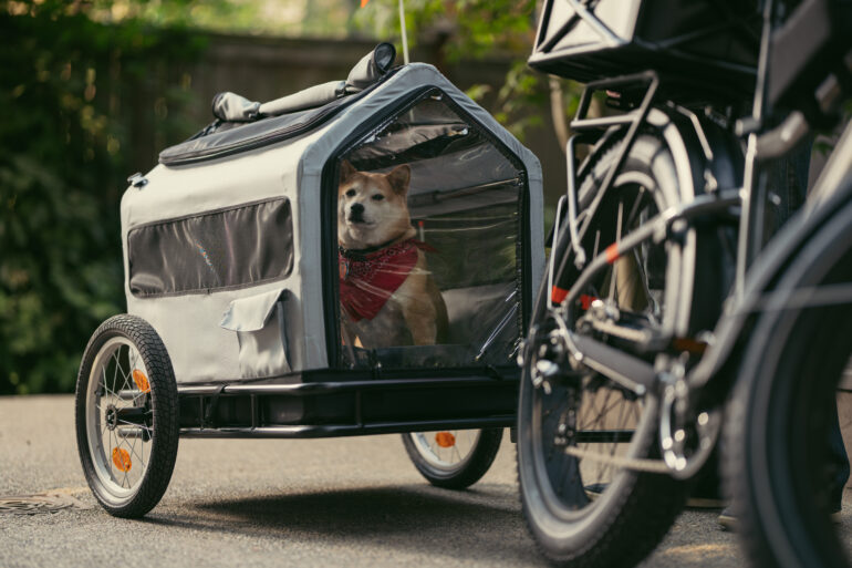 RadRunner 3 Plus Review: Crowd Favorite Utility Bike Gets a Premium ...