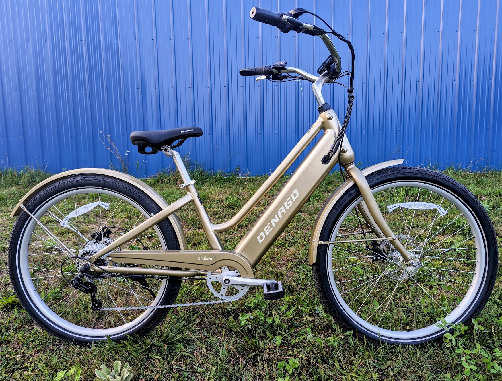 Denago Cruiser 1 Review: The Affordable Beach Cruiser with Style and ...