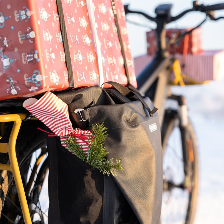 Accessories for your RadRover 6 Plus Fat Tire Ebike! - Ebike Escape