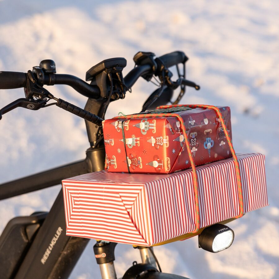 Accessories for your RadRover 6 Plus Fat Tire Ebike! - Ebike Escape