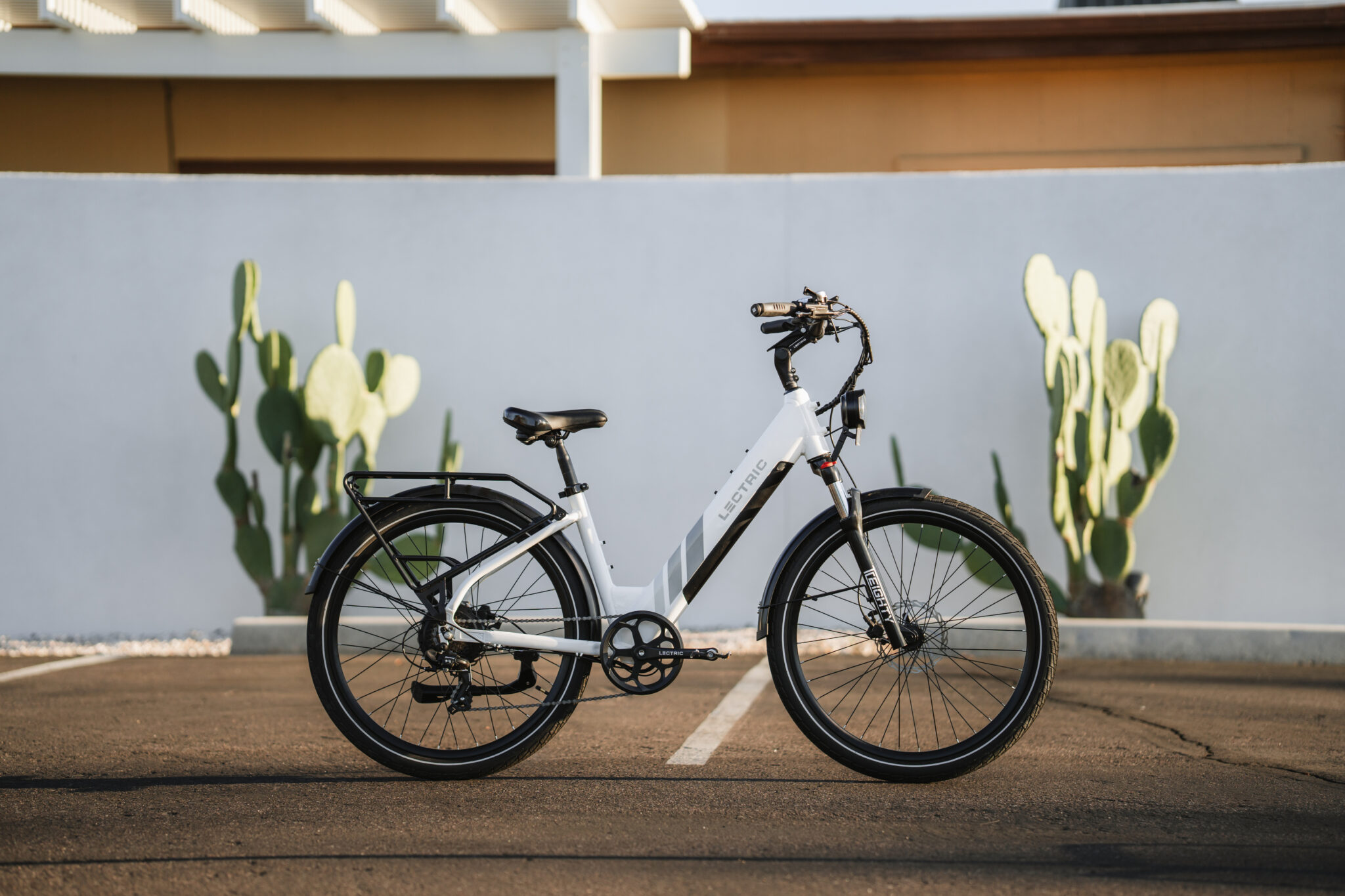 Lectric XPress Review 2025: How Affordable Ebikes Are Embracing Torque ...